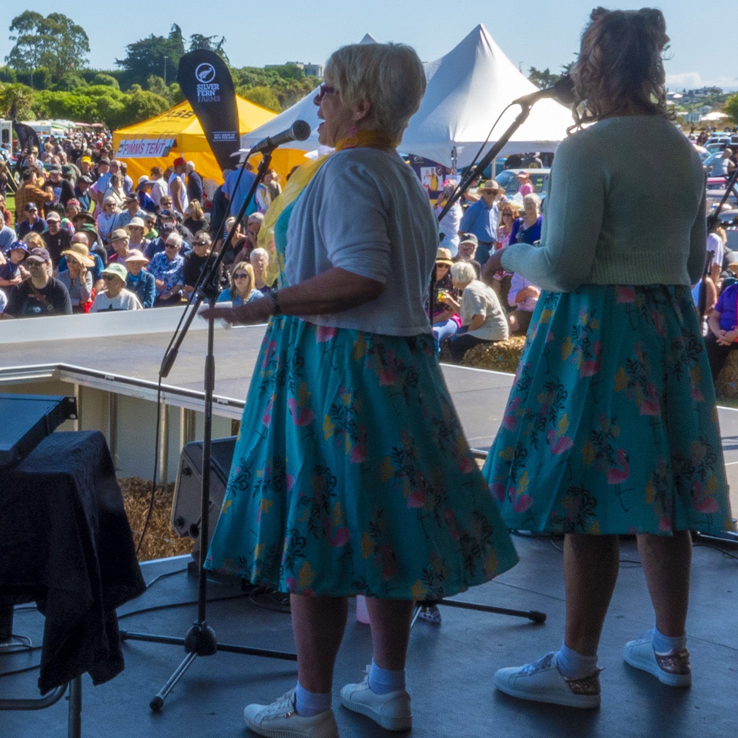 Parties & Entertainment – Caroline Bay Rock & Hop